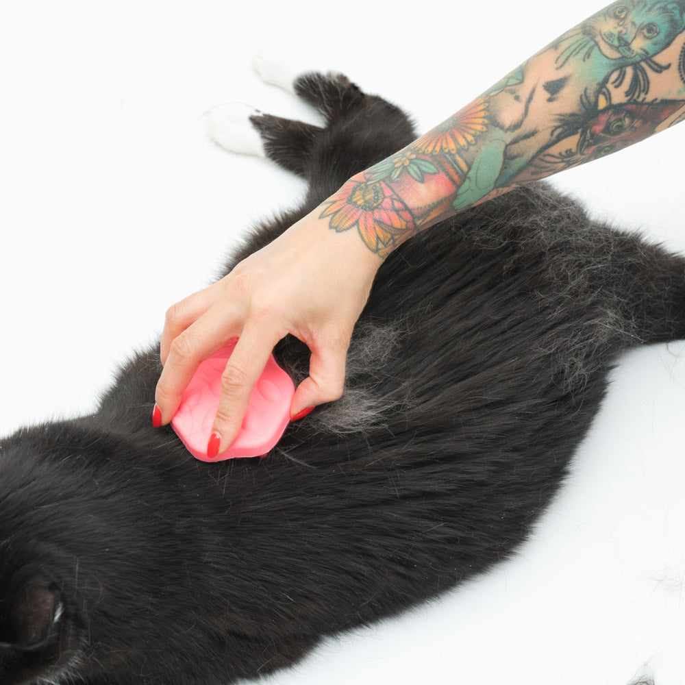 The Bailey Brush – meowboxshop