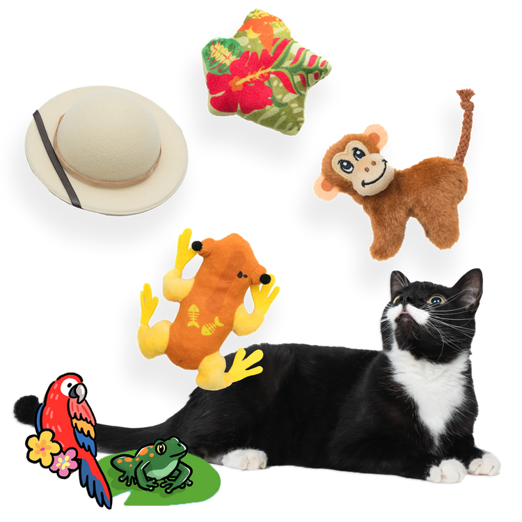The meowboxshop: Shop Cat Toys, Treats, Human Items & More